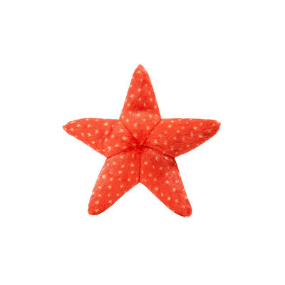 Fluff N Tuff Ziggy Starfish Dog Toy – The 4 Paws Market